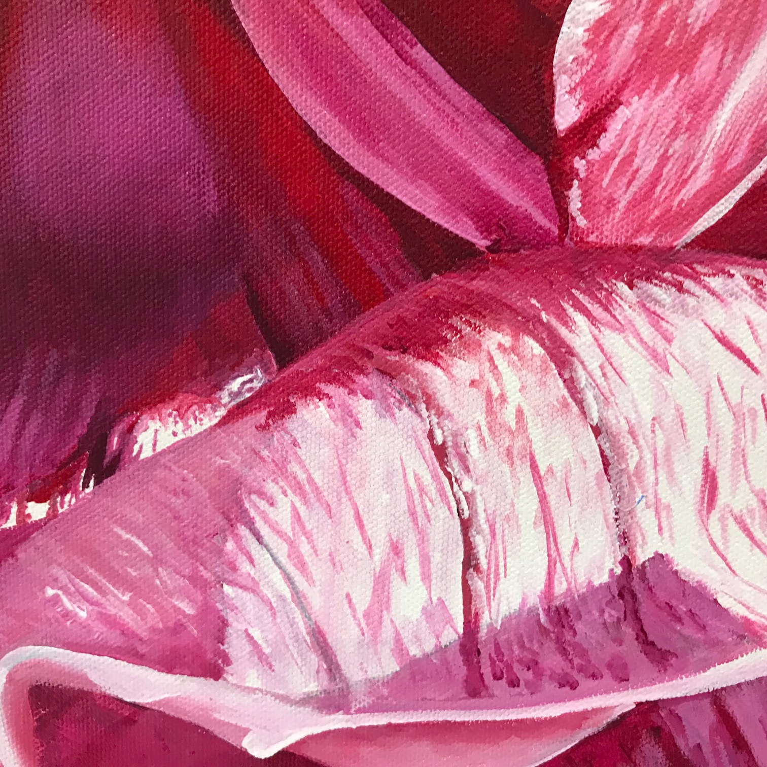 Miss Magnolia – Limited Edition Print